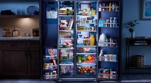 organized fridge layout