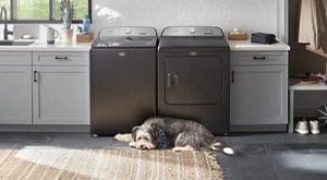 How to Wash Dog Clothes, Vests and More | Maytag